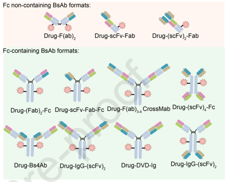 双抗ADC：1+1>2医药新闻-ByDrug-一站式医药资源共享中心-医药魔方