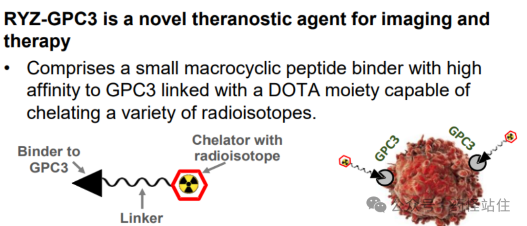 GPC3：ADC & RDC医药新闻-ByDrug-一站式医药资源共享中心-医药魔方