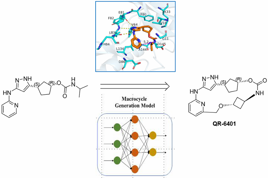 8.5亿美元首付款！锐格的三款CDK抑制剂？医药新闻-ByDrug-一站式医药资源共享中心-医药魔方