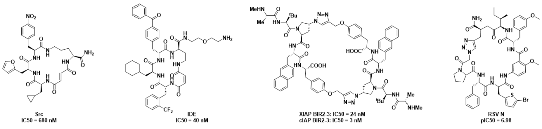 DEL for大环化合物医药新闻-ByDrug-一站式医药资源共享中心-医药魔方