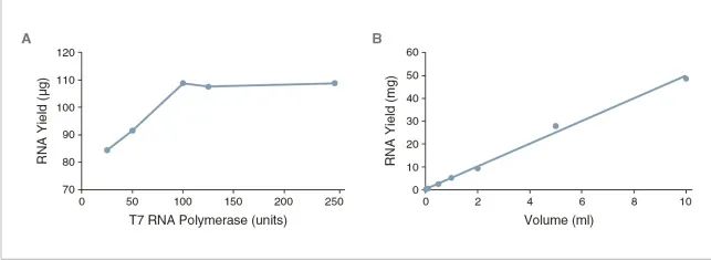 引领高效 RNA 合成：NEB 发布规模化 IVT 技术参考指南医药新闻-ByDrug-一站式医药资源共享中心-医药魔方