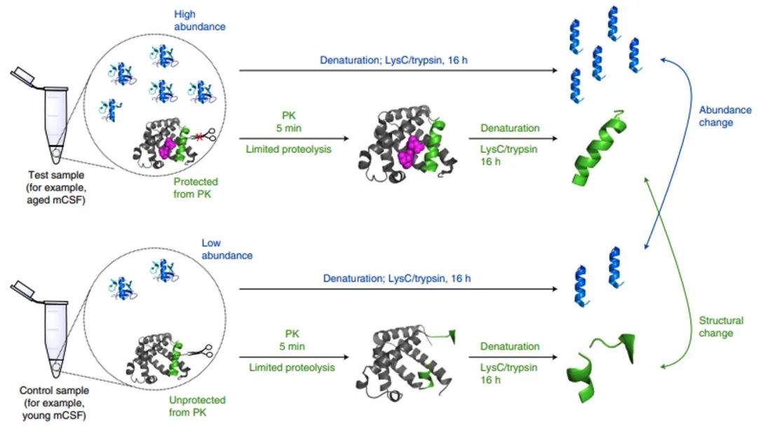 Nature Aging | LIP-MS技术助力神经性疾病新型标志物发掘医药新闻-ByDrug-一站式医药资源共享中心-医药魔方