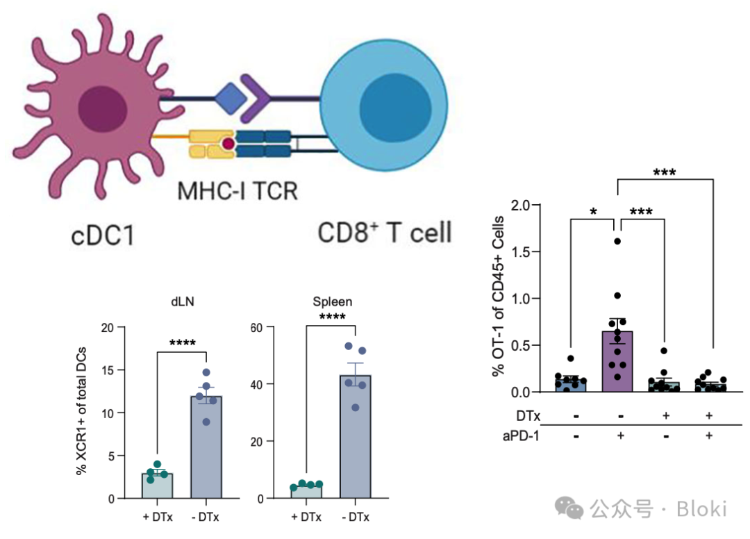 把DC细胞和T细胞拉到一起的双特异性抗体医药新闻-ByDrug-一站式医药资源共享中心-医药魔方