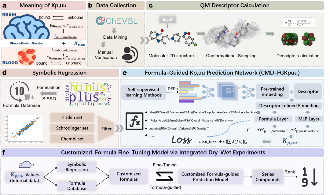 赜灵生物最新突破 | AI助力脑渗透性分子属性预测，成果登上《JCIM》医药新闻-ByDrug-一站式医药资源共享中心-医药魔方