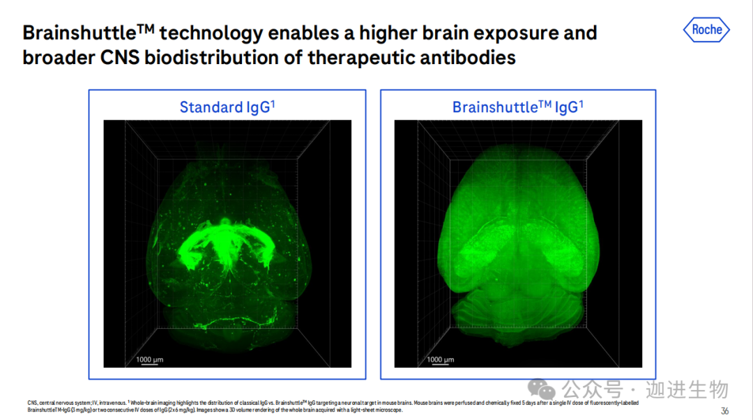 Trontinemab，阿兹海默症领域未来的领导者？医药新闻-ByDrug-一站式医药资源共享中心-医药魔方