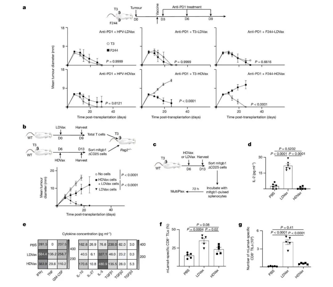医药前沿│nature：新抗原特异性细胞毒性 Tr1 CD4 T 细胞抑制癌症免疫疗法医药新闻-ByDrug-一站式医药资源共享中心-医药魔方