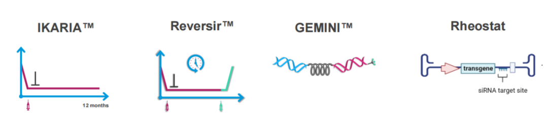siRNA药物开发：从8家Biotech分析行业市场布局医药新闻-ByDrug-一站式医药资源共享中心-医药魔方