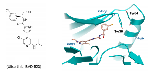 Difflinker：基于扩散模型的Linker生成和骨架跃迁医药新闻-ByDrug-一站式医药资源共享中心-医药魔方