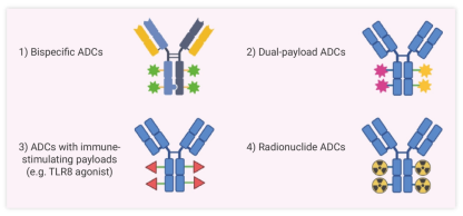 喜忧参半，双抗ADC进击之路医药新闻-ByDrug-一站式医药资源共享中心-医药魔方