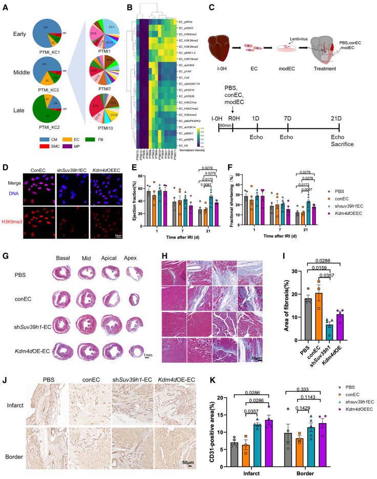 Circulation Research | IMC 助力心脏缺血再灌注损伤的空间蛋白研究医药新闻-ByDrug-一站式医药资源共享中心-医药魔方