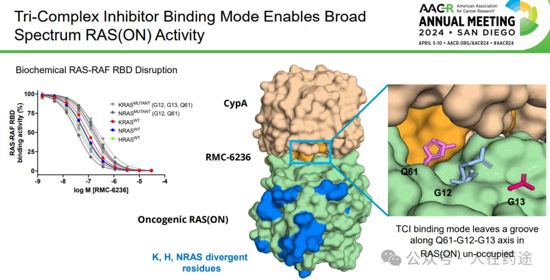 AACR24 | RMC-6236结构正式公开，那些年它的follower们医药新闻-ByDrug-一站式医药资源共享中心-医药魔方