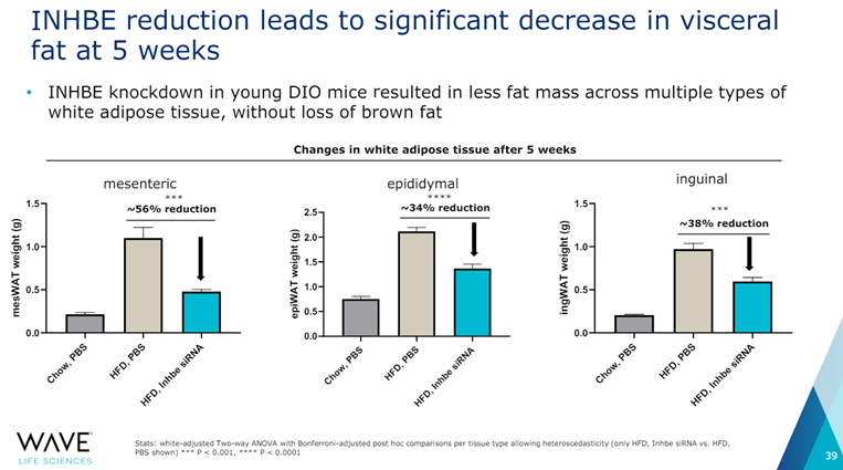 siRNA减肥药的探索之路医药新闻-ByDrug-一站式医药资源共享中心-医药魔方