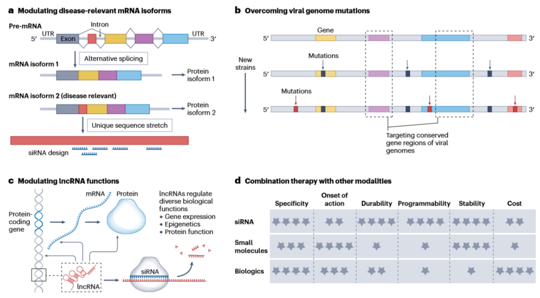 RNAi药物设计25年：从发现到临床上市，从诺贝尔到多适应症医药新闻-ByDrug-一站式医药资源共享中心-医药魔方