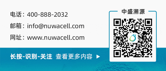中盛溯源迭代升级帕金森病iPSC疗法IND获批！突破性产品引领行业新风向！医药新闻-ByDrug-一站式医药资源共享中心-医药魔方