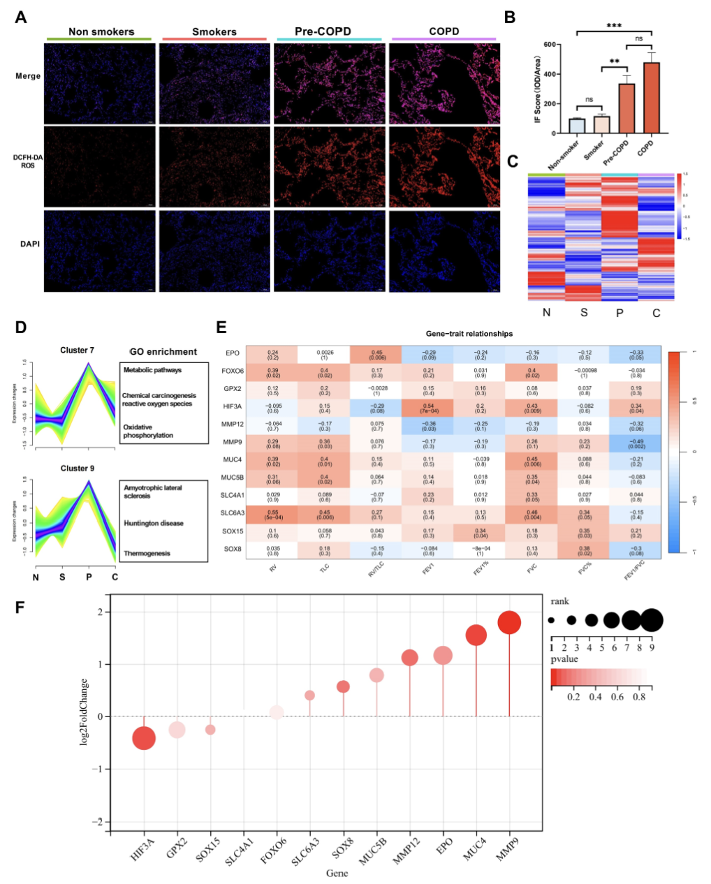 生信+湿实验=IF 12.4｜HIF-3α通过GPx4轴抑制肺泡上皮细胞铁凋亡防治COPD医药新闻-ByDrug-一站式医药资源共享中心-医药魔方