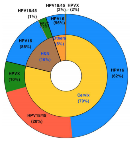 文献解读 | HPV相关肿瘤中HPV DNA整合多位于潜在治疗靶基因位点医药新闻-ByDrug-一站式医药资源共享中心-医药魔方