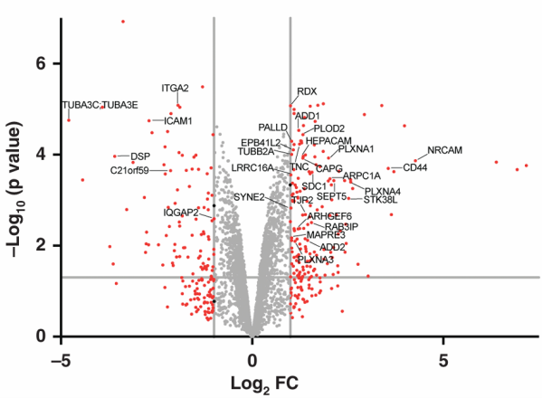 分子互作干货丨免疫沉淀（IP）技术详解医药新闻-ByDrug-一站式医药资源共享中心-医药魔方