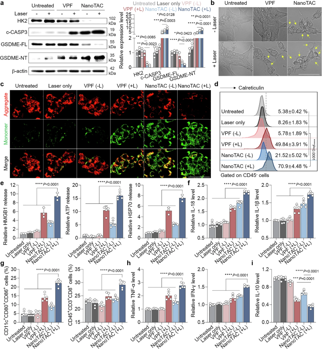PROTAC之后，NanoTAC来了 | Nature子刊医药新闻-ByDrug-一站式医药资源共享中心-医药魔方