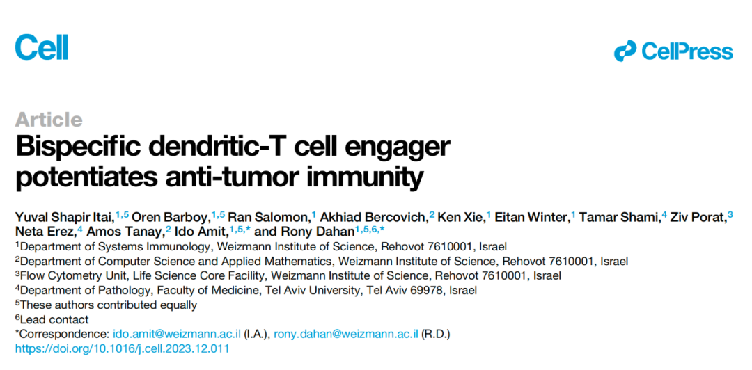 Cell：用双抗连接树突状细胞和T细胞，增强抗肿瘤免疫，防止癌症转移复发医药新闻-ByDrug-一站式医药资源共享中心-医药魔方