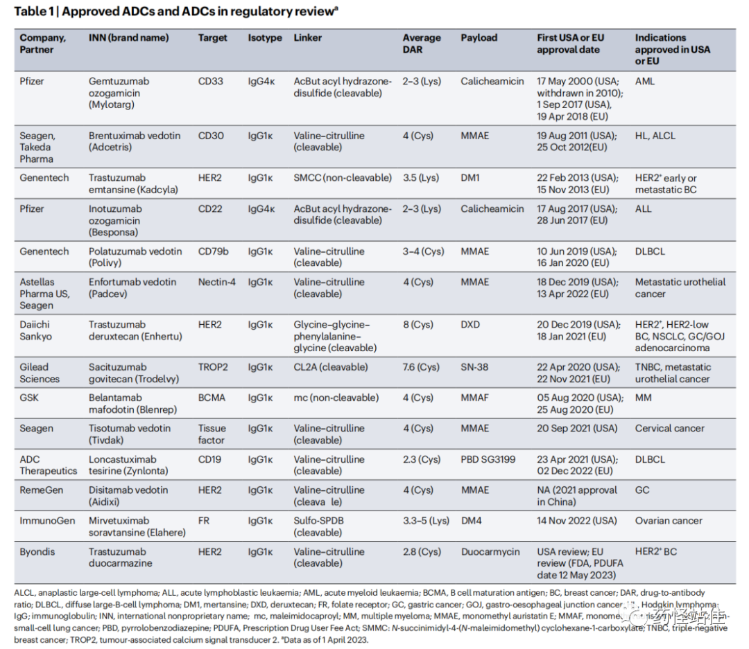 全球ADC管线现状、市场潜力及特点分析医药新闻-ByDrug-一站式医药资源共享中心-医药魔方