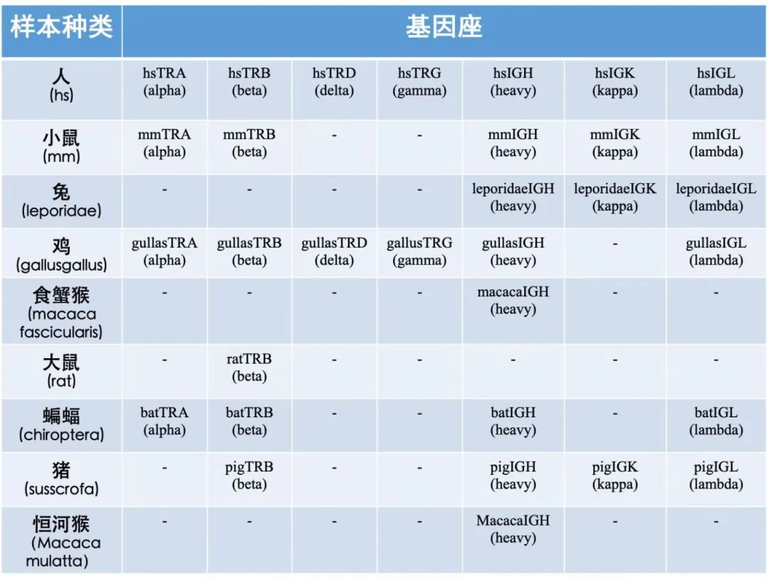 ImmuHub®免疫组测序服务焕新体验｜TCR & BCR七链联检，科研与临床检测全面提效医药新闻-ByDrug-一站式医药资源共享中心-医药魔方