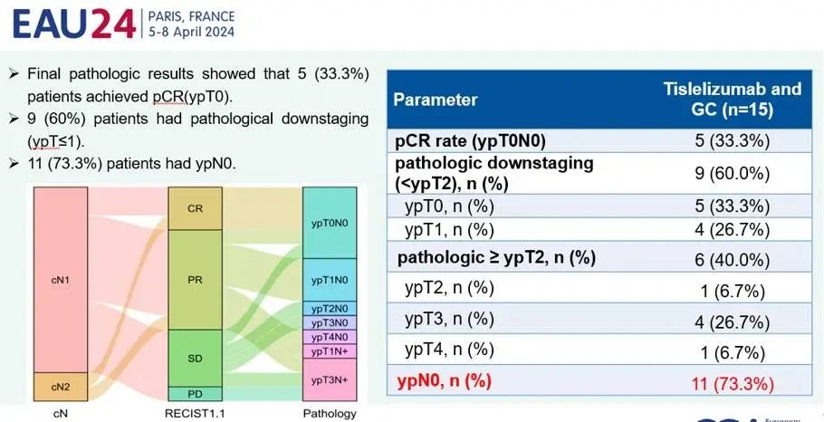 EAU24中国之声|吕强教授团队：替雷利珠单抗联合化疗新辅助治疗临床淋巴结阳性（cN+） 膀胱癌最新疗效数据公布医药新闻-ByDrug-一站式医药资源共享中心-医药魔方
