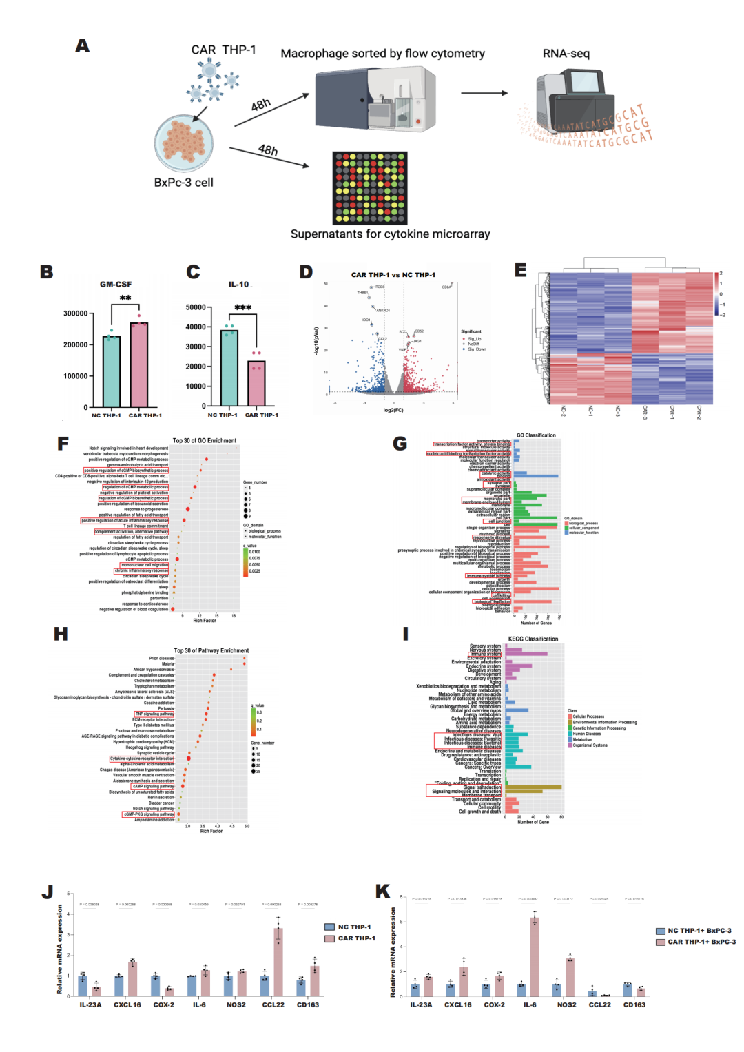 Molecular Cancer｜CAR-M治疗胰腺癌成果发布，安全有效！医药新闻-ByDrug-一站式医药资源共享中心-医药魔方