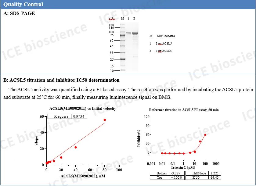 10亿美元携手诺和诺德，下一代口服减肥药LX9851引领代谢疾病治疗新浪潮医药新闻-ByDrug-一站式医药资源共享中心-医药魔方