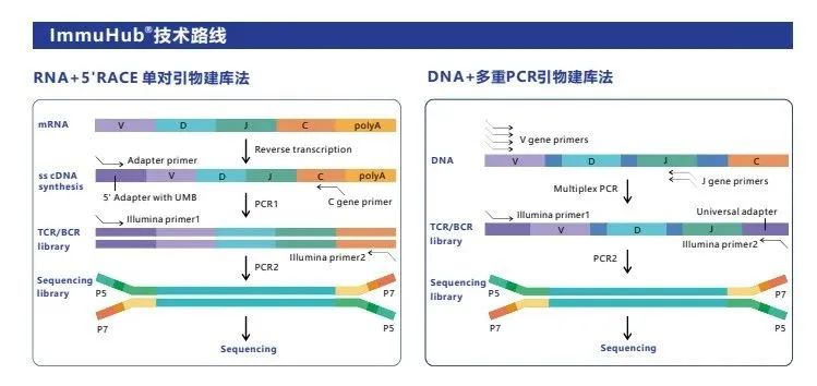 ImmuHub®免疫组测序平台：前沿科技，带您探索免疫奥秘医药新闻-ByDrug-一站式医药资源共享中心-医药魔方
