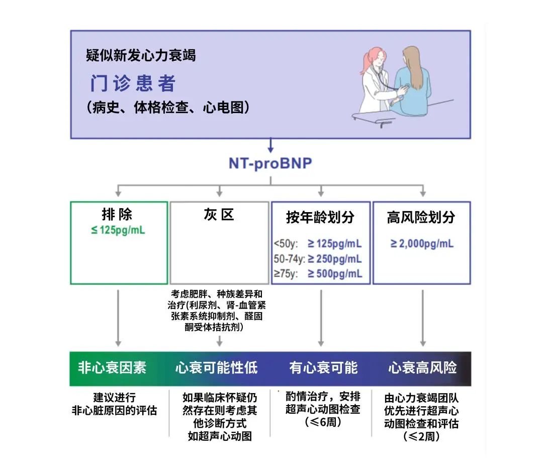 ESC心力衰竭协会临床共识声明 | 应用NT-proBNP在早期诊断心力衰竭和心脏超负荷的实用算法医药新闻-ByDrug-一站式医药资源共享 ...