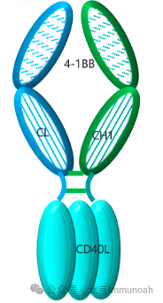 北京免疫方舟CD40/4-1BB双功能分子IND正式获得FDA批准医药新闻-ByDrug-一站式医药资源共享中心-医药魔方