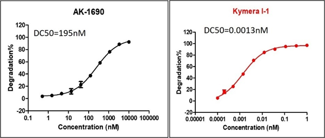 PROTAC非肿瘤领域突破：以Kymera专利分子为例的STAT6降解剂体外评价体系指南医药新闻-ByDrug-一站式医药资源共享中心-医药魔方