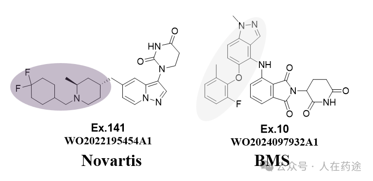 Science重磅！诺华、BMS皆看好的WIZ分子胶医药新闻-ByDrug-一站式医药资源共享中心-医药魔方