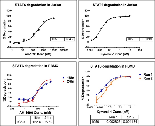 PROTAC非肿瘤领域突破：以Kymera专利分子为例的STAT6降解剂体外评价体系指南医药新闻-ByDrug-一站式医药资源共享中心-医药魔方