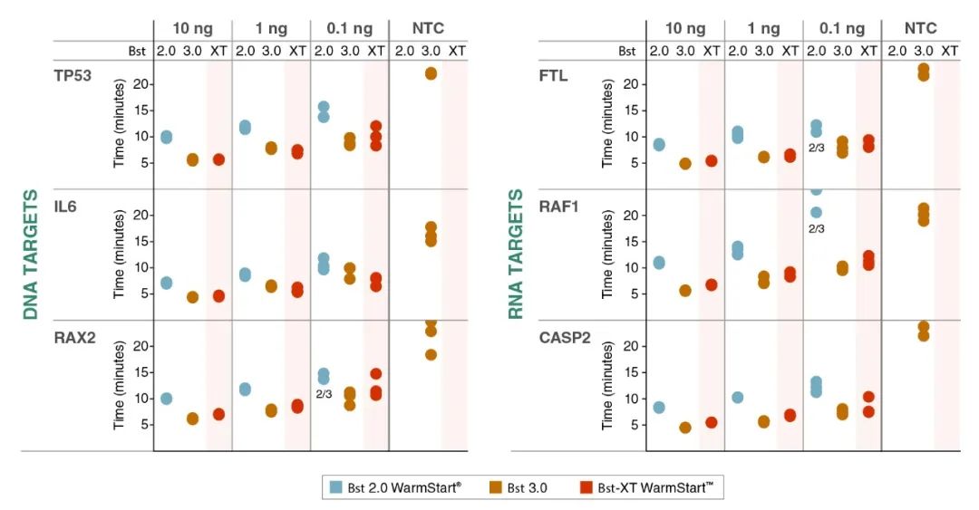 精准、快速、高效——新品 Bst-XT WarmStart® DNA 聚合酶：等温扩增技术升级之选医药新闻-ByDrug-一站式医药资源共享中心-医药魔方