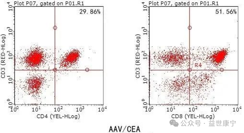 AAV基因疗法最新盘点 | 国内3款AAV基因疗法进入III期临床，37款IND受理/获批医药新闻-ByDrug-一站式医药资源共享中心-医药魔方