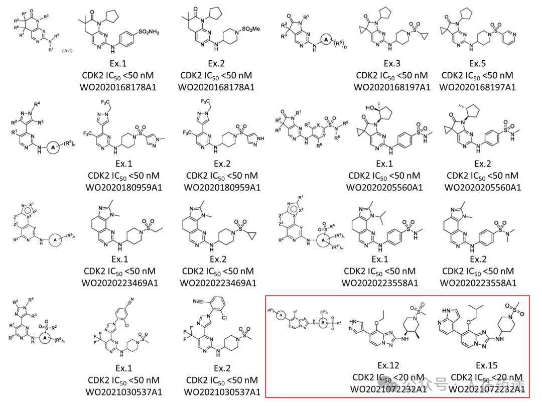 数十亿美元重磅交易——CDK2近期专利盘点（一）医药新闻-ByDrug-一站式医药资源共享中心-医药魔方
