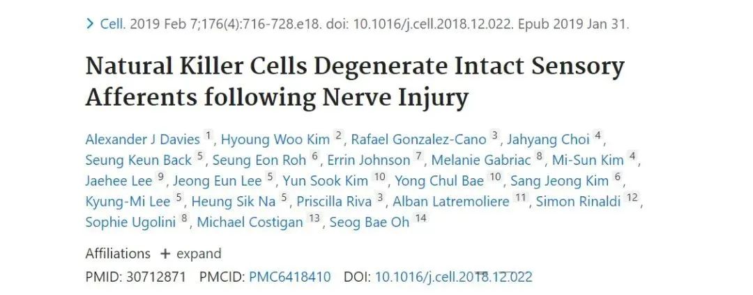 NK细胞：带状疱疹患者疼痛缓解新希望医药新闻-ByDrug-一站式医药资源共享中心-医药魔方
