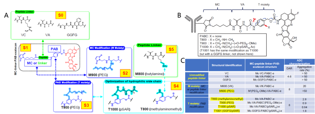 Beyond PEGylation：聚肌氨酸(PSAR)在ADC领域的应用医药新闻-ByDrug-一站式医药资源共享中心-医药魔方