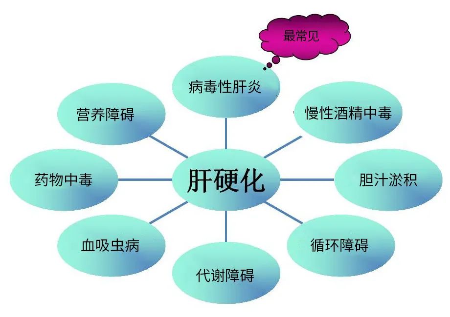 干细胞治疗肝硬化，原来这么牛？！医药新闻-ByDrug-一站式医药资源共享中心-医药魔方