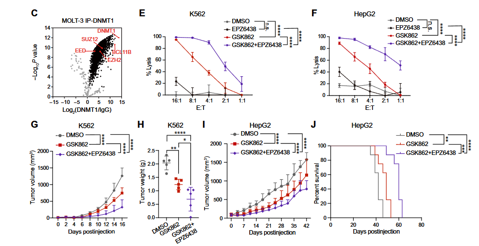 Science子刊：抑制DNMT1，给T细胞（CAR-T）增加NK细胞功能，显著增强抗肿瘤活性医药新闻-ByDrug-一站式医药资源共享中心-医药魔方