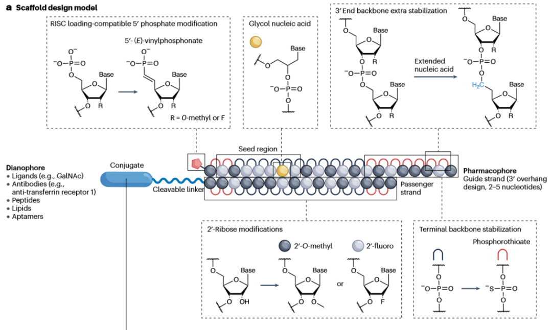 RNAi药物设计25年：从发现到临床上市，从诺贝尔到多适应症医药新闻-ByDrug-一站式医药资源共享中心-医药魔方