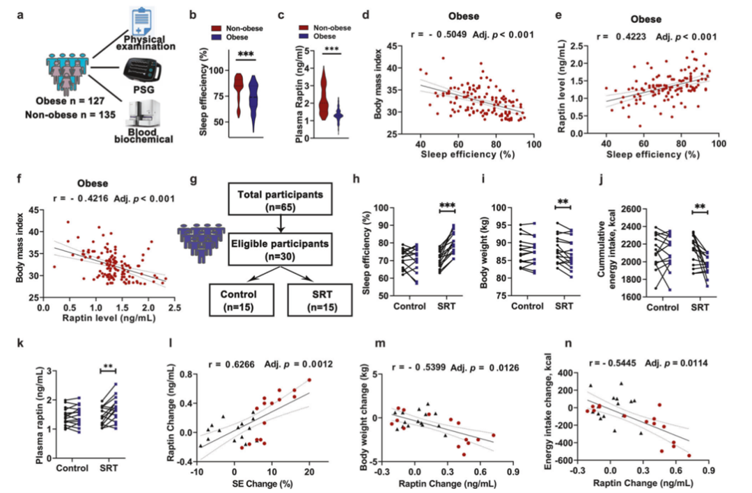 Cell Research IF=28.2丨睡眠激素Raptin：对抗肥胖的新希望医药新闻-ByDrug-一站式医药资源共享中心-医药魔方