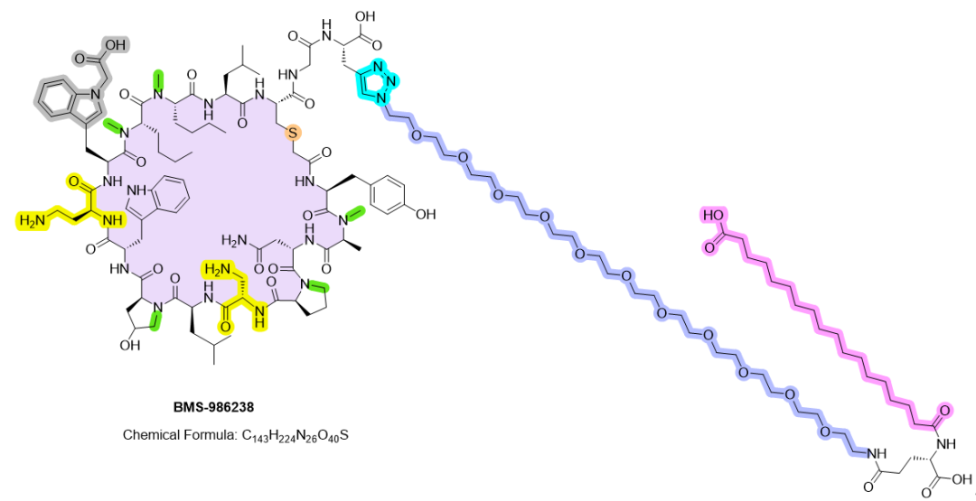 行业研究 | 首次结构披露，环肽候选药跻身PD-(L)1赛道医药新闻-ByDrug-一站式医药资源共享中心-医药魔方