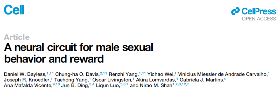 Cell：发现调控雄性性欲、性行为和快感的关键脑回路，为开发调控男性性欲的药物开辟新道路医药新闻-ByDrug-一站式医药资源共享中心-医药魔方