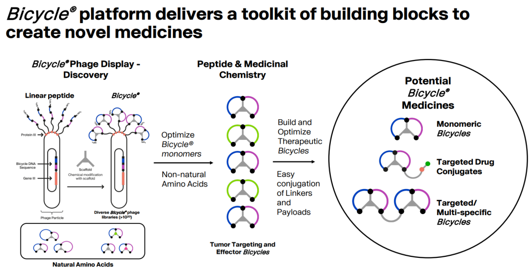 最全！15种XDC药物全类型梳理及发展趋势预测医药新闻-ByDrug-一站式医药资源共享中心-医药魔方