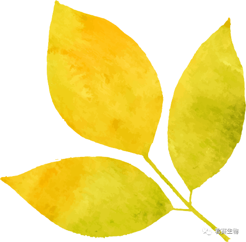 全球首款无需清淋、无需IL-2注射的TIL疗法GC101的临床试验在北京大学肿瘤医院启动医药新闻-ByDrug-一站式医药资源共享中心-医药魔方