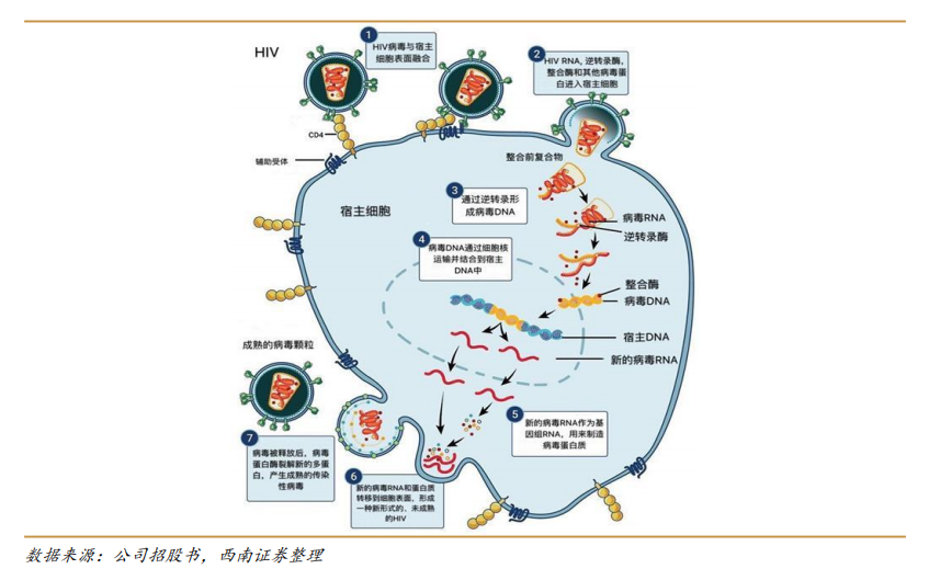 艾迪药业(688488): 首个国产HIV三联复方单片有望快速放量医药新闻-ByDrug-一站式医药资源共享中心-医药魔方