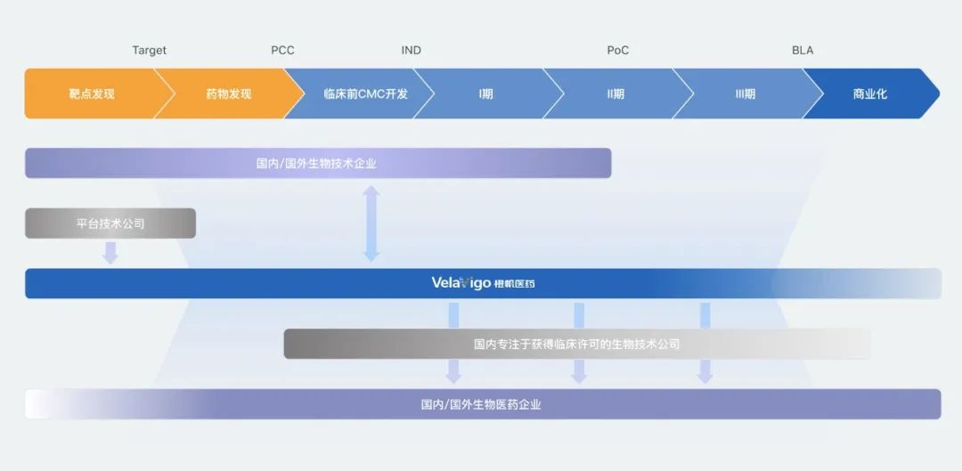 创新技术，深化合作，张江药企积极布局双抗ADC领域医药新闻-ByDrug-一站式医药资源共享中心-医药魔方
