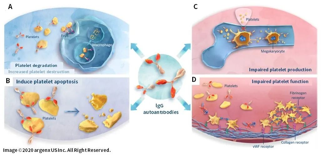 一文读懂原发性免疫性血小板减少症( ITP)治疗策略医药新闻-ByDrug-一站式医药资源共享中心-医药魔方
